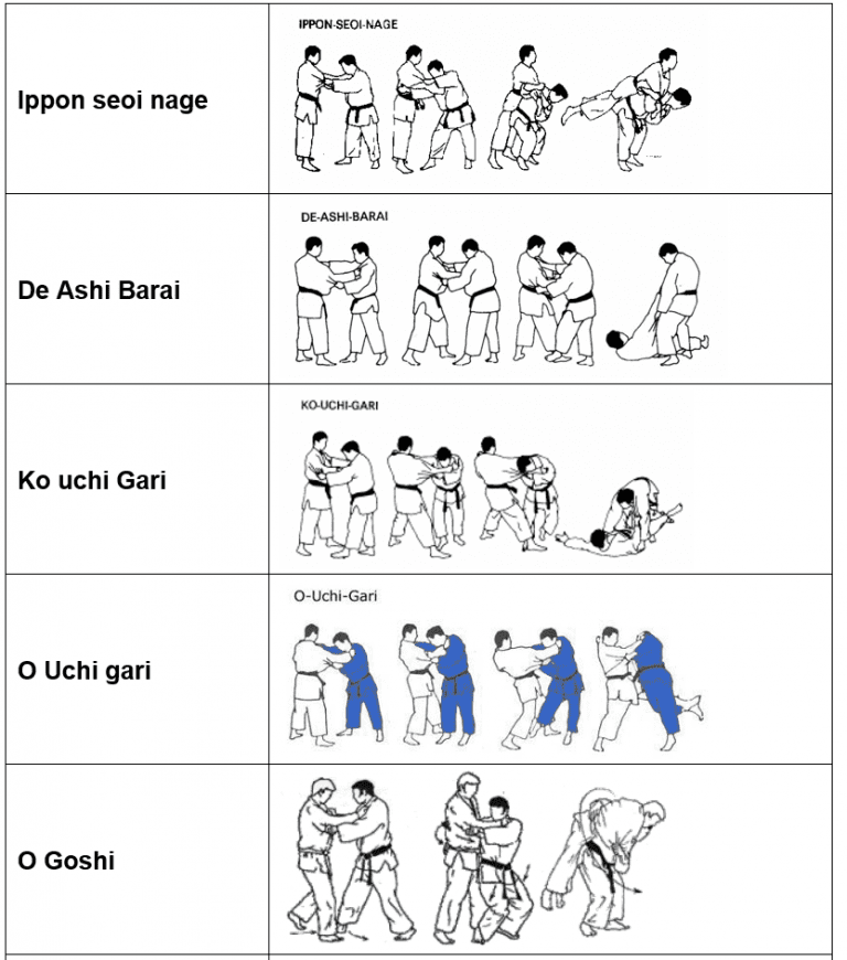 Principais Lesões Esportivas em Atletas de Judô de Alto Rendimento