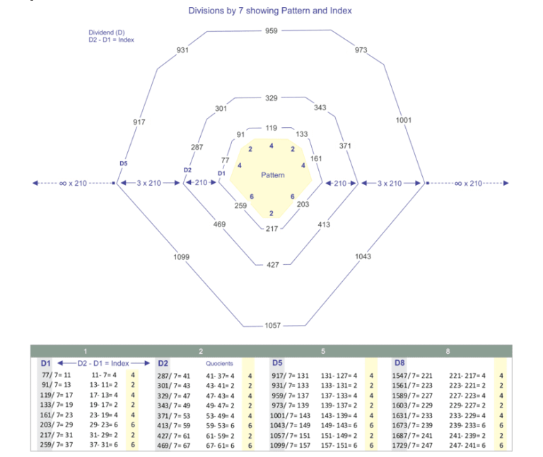 Patterns of repetitions in division by prime numbers