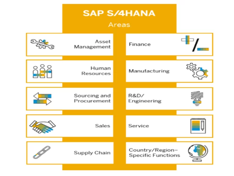 The SAP S/4HANA system and digital transformation
